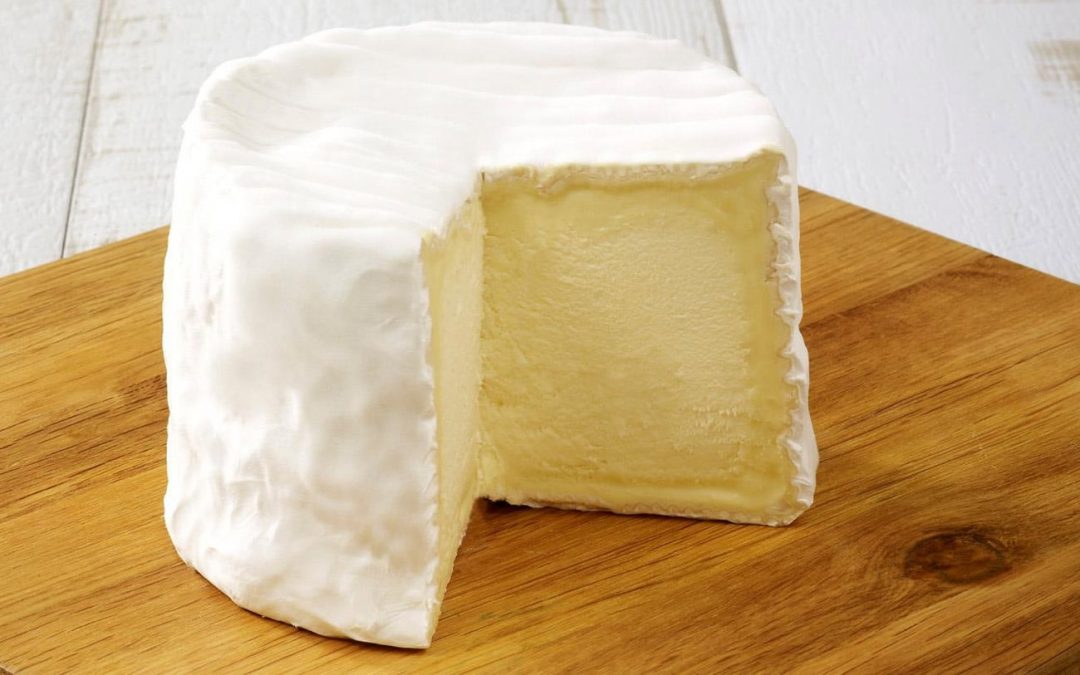 Chaource AOP, portrait d'un fromage d'exception au lait de vache ...