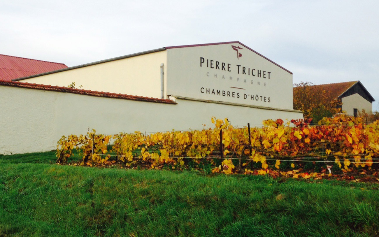 Maison de Champagne Pierre Trichet - Gastronomico